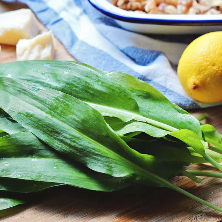 How to Find and Forage For Wild Garlic - Behind the Ivy